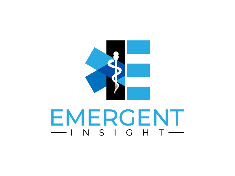 Emergent Insight, LLC – The BDI Team