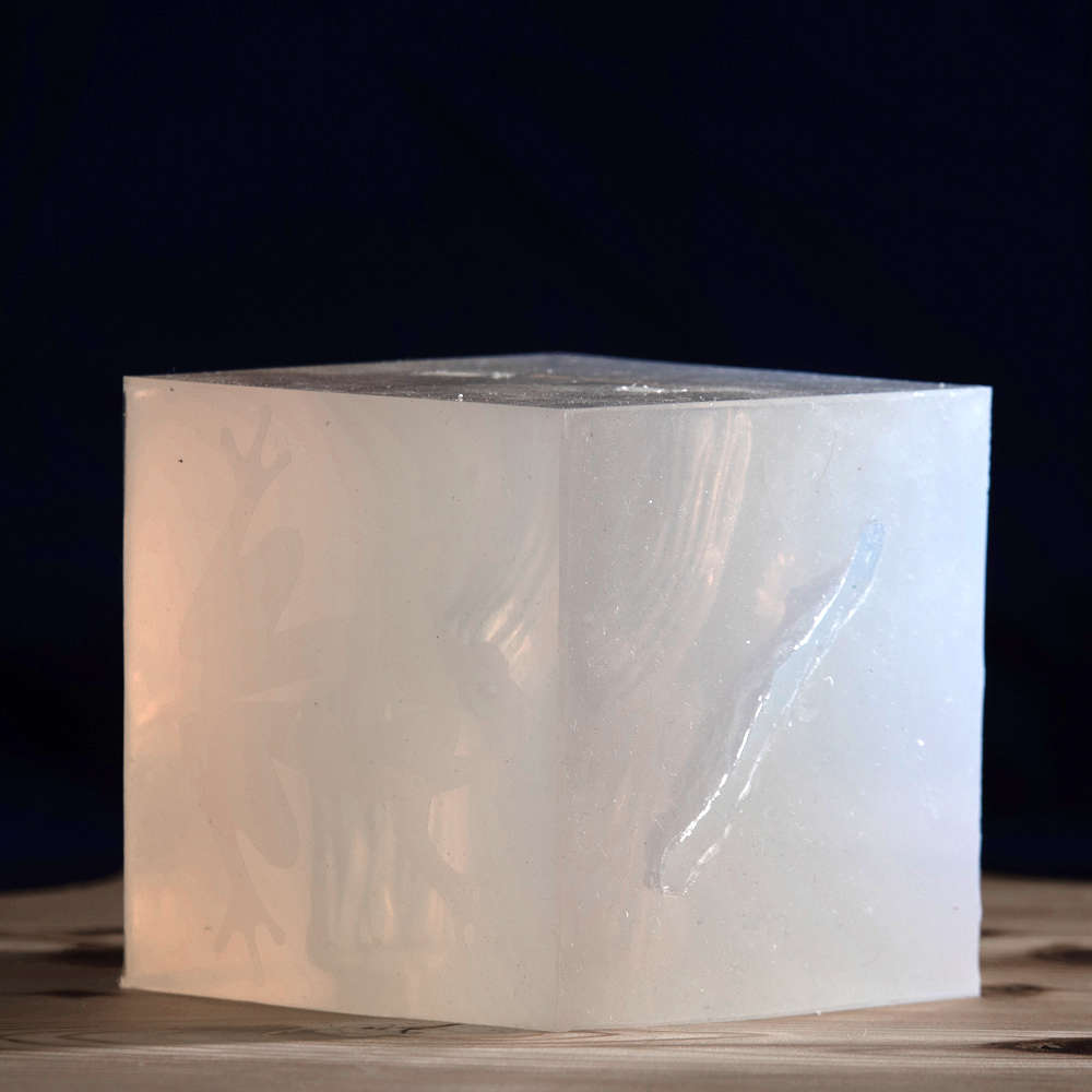 Phokus Research Wound Cube – The BDI Team